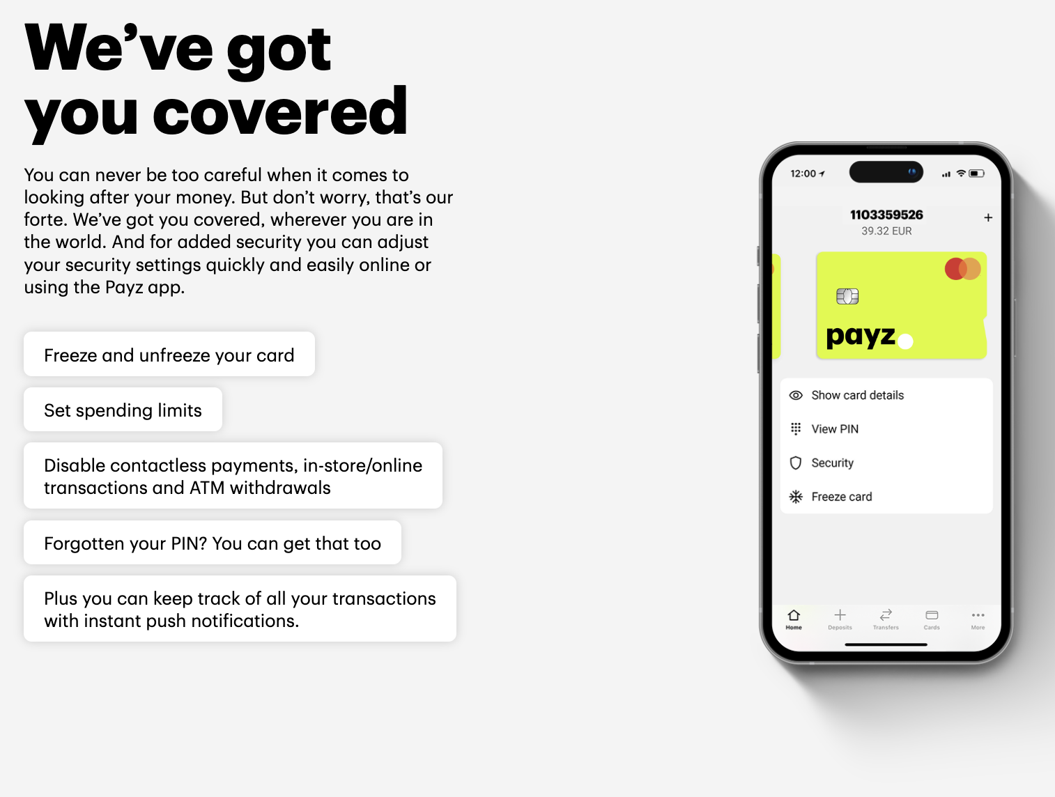 Payz Review and Details 2023 • eWallet-Optimizer